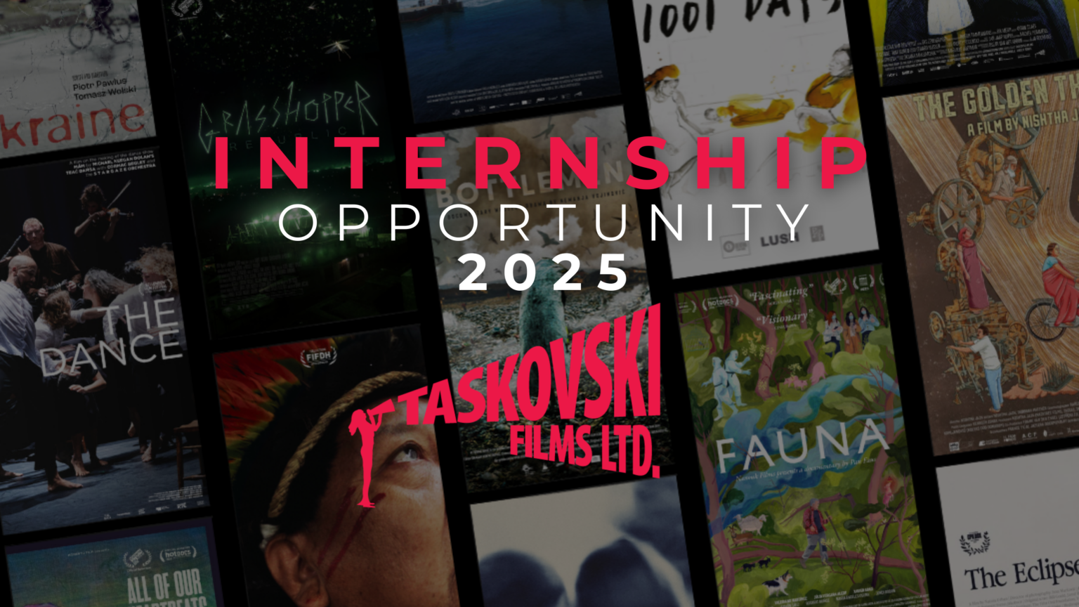 INTERNSHIP OPPORTUNTIY AT TASKOVSKI FILMS BH DOO – Taskovski Films